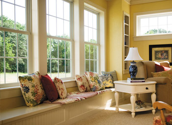 Six Things You Need to Know About New Windows - Rosie on the House